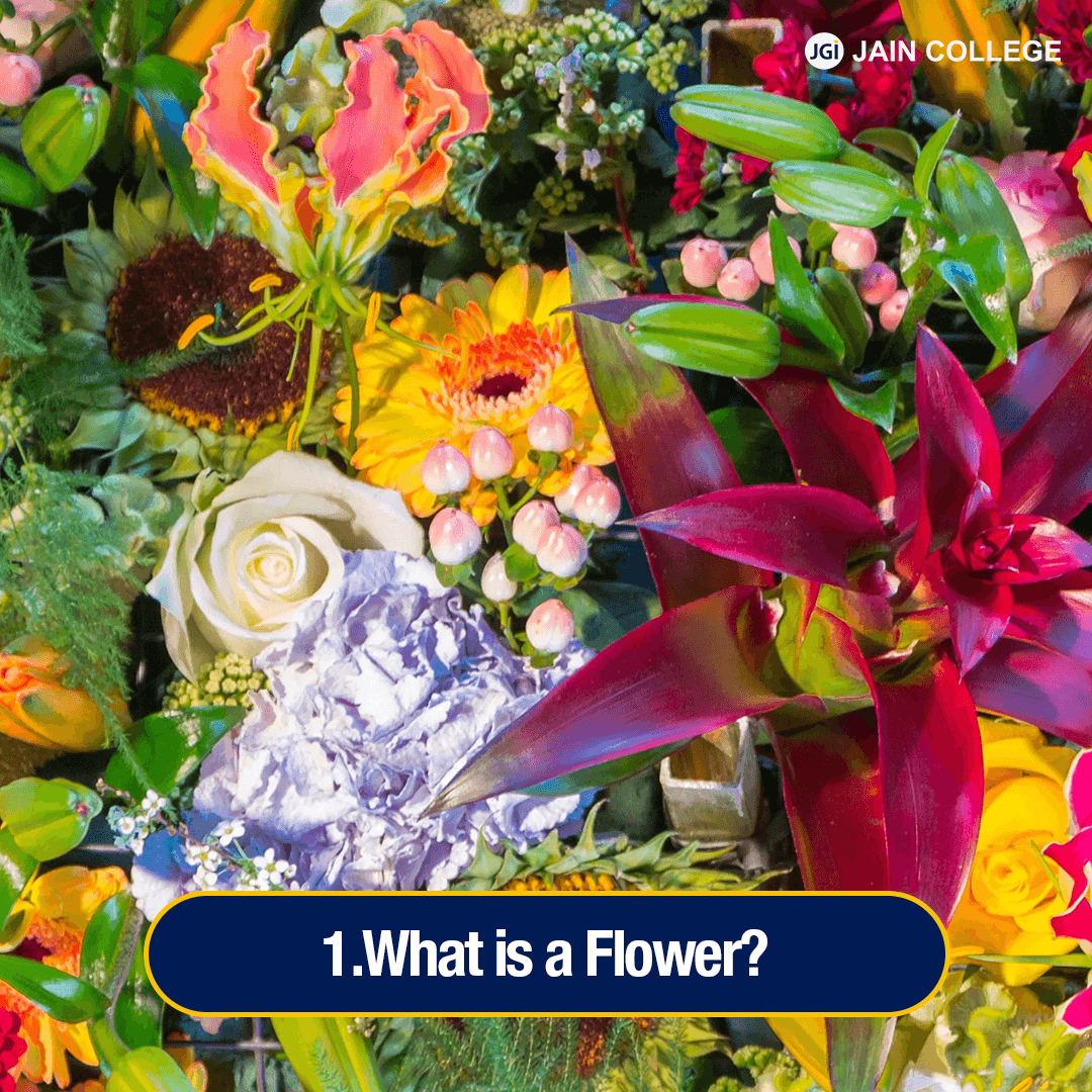 Parts of a Flower: The Science of a Flower's Anatomy!